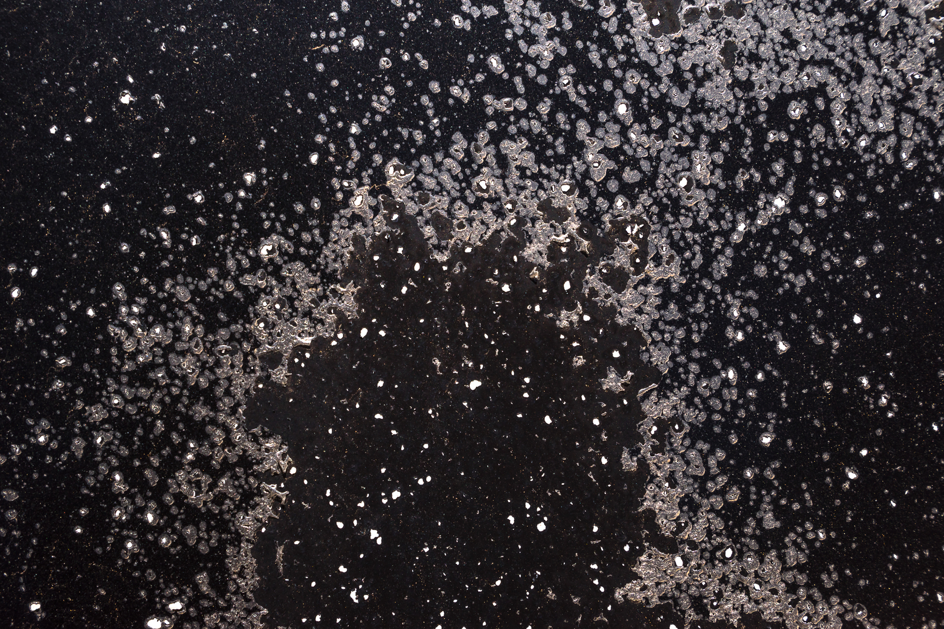 Boston Society for Architecture | Sean Deckert